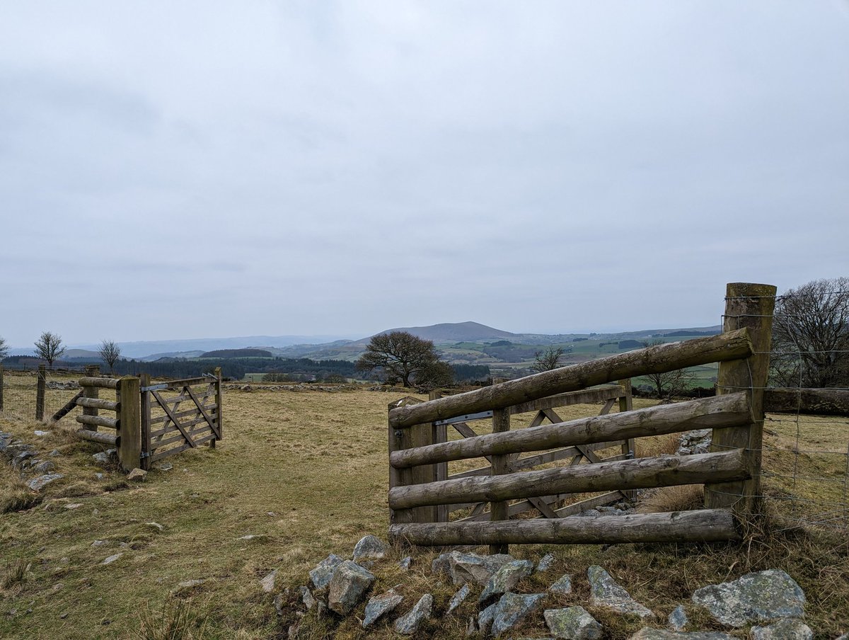 Thread by @zugzwanged on Thread Reader App – Thread Reader App