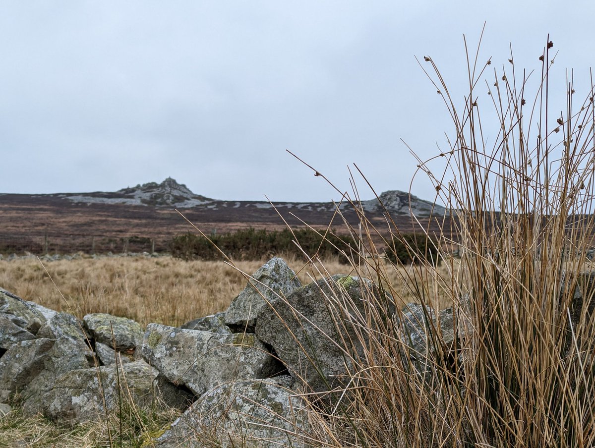 Thread by @zugzwanged on Thread Reader App – Thread Reader App