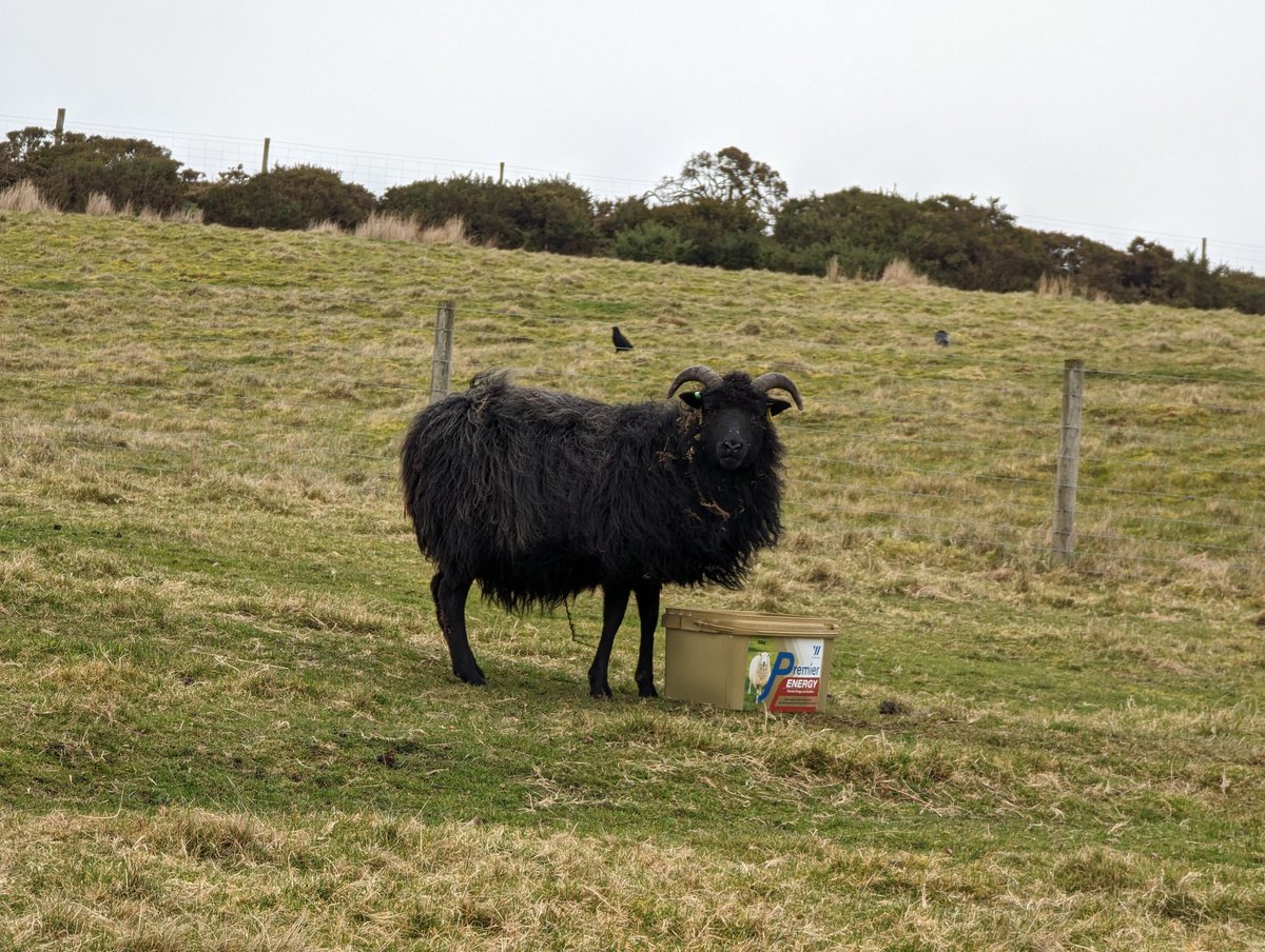 Thread by @zugzwanged on Thread Reader App – Thread Reader App