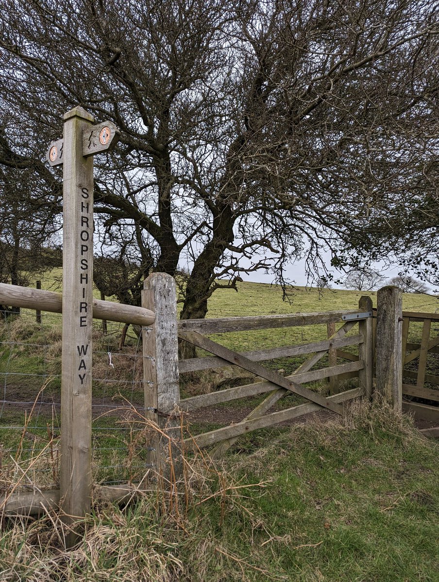 Thread by @zugzwanged on Thread Reader App – Thread Reader App