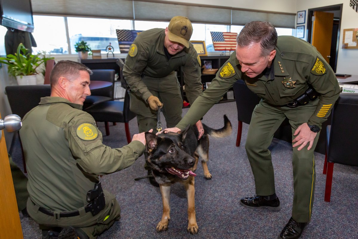 Washoe Sheriff on Twitter: Washoe Sheriff on Twitter: