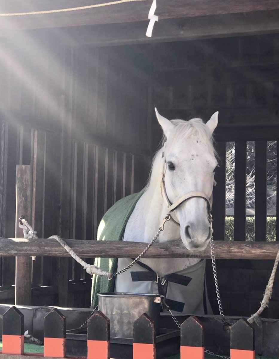 すみれの言葉(@sumire_gingetsu) - Twilog (ツイログ)