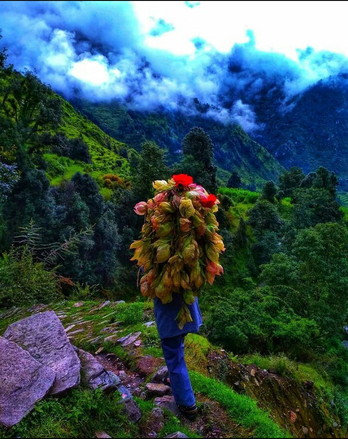 10 Extremely Beautiful Valley In Uttrakhand 1. Pauri Garhwal Valley ...
