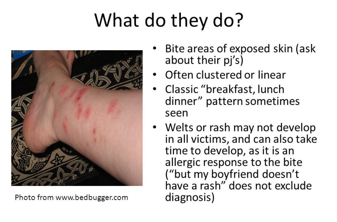 Breakfast Lunch And Dinner Sign