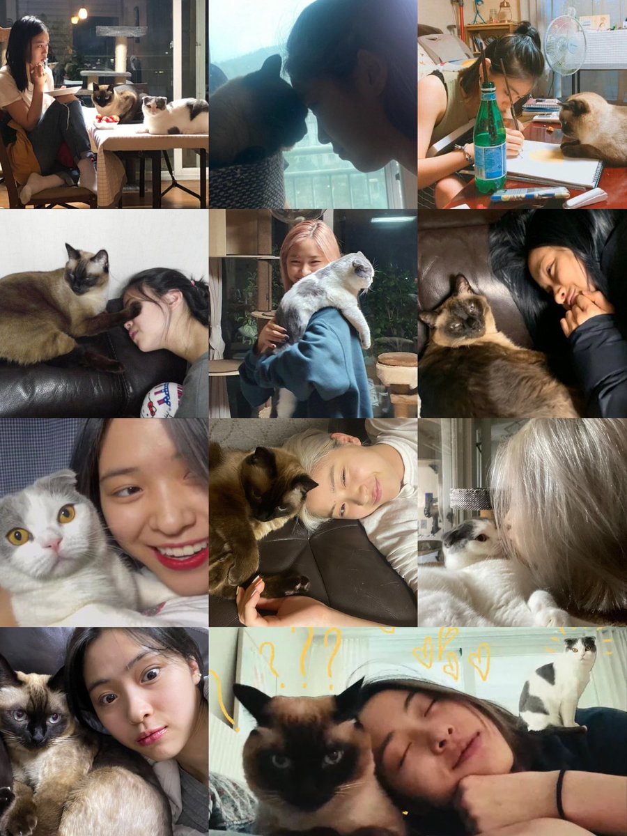 BERET J:— on Twitter: "RT @theshinspirit: ryujin with byulie and dallie 🍬"