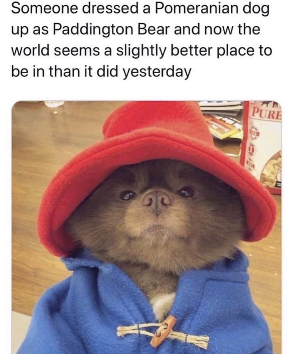 James on Twitter: "Timeline cleanse."