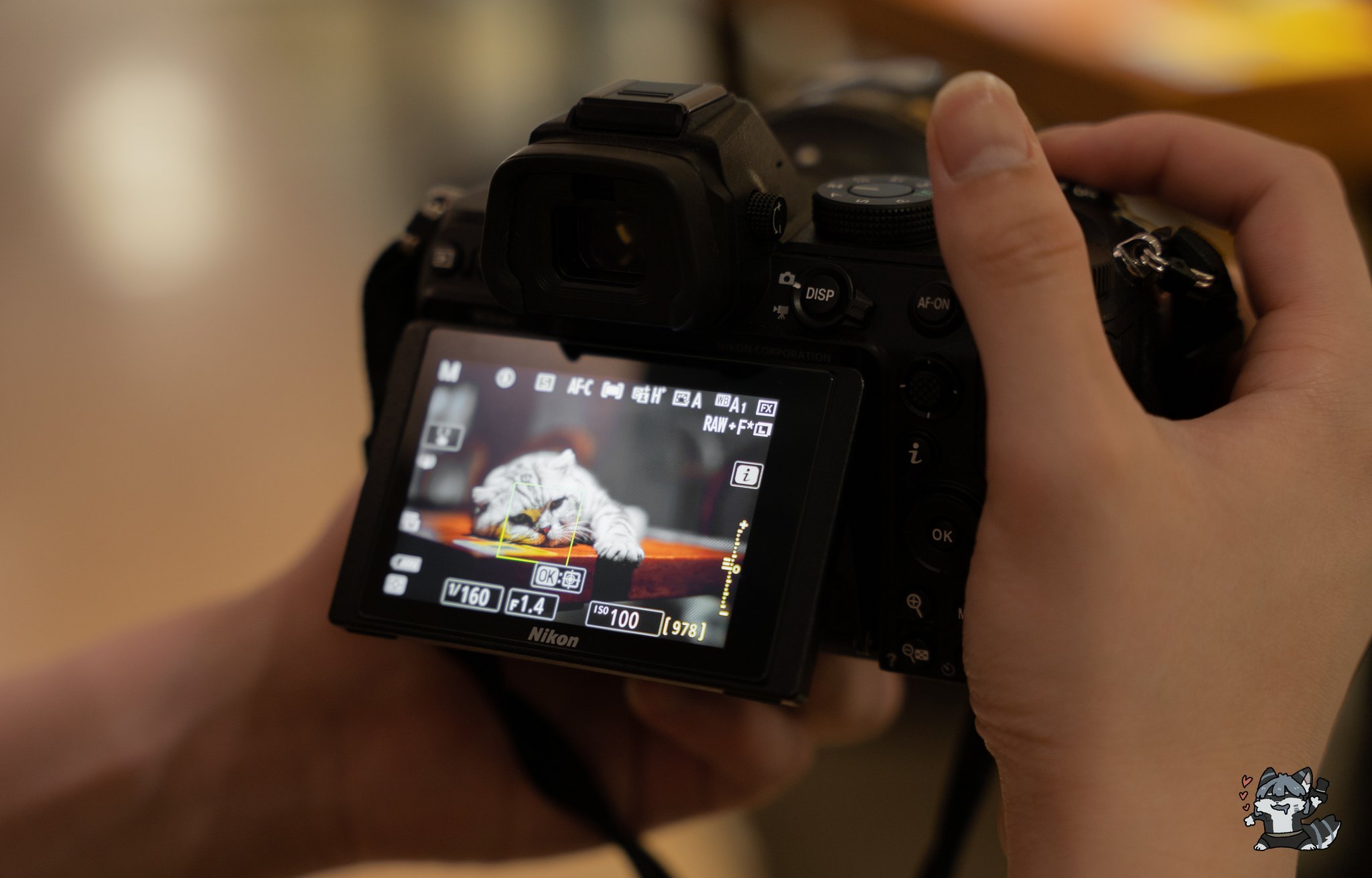 小黄📷 (@trion449) / Twitter