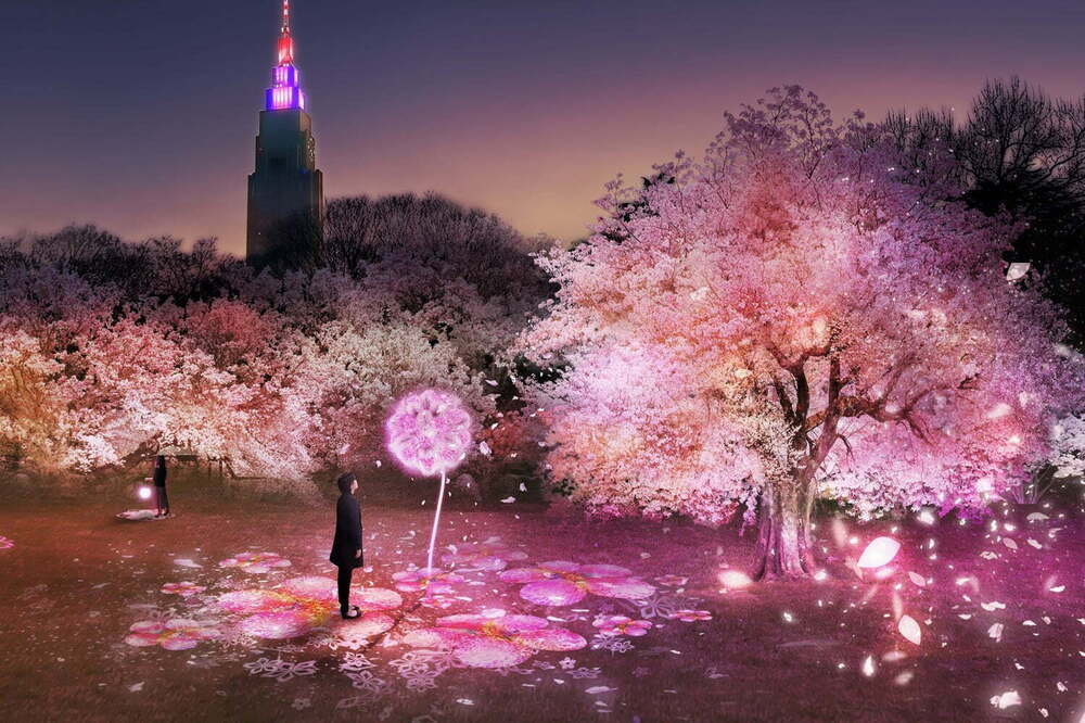 幻想的新宿御苑に「naked」ライトアップが参上 話題の画像プラス