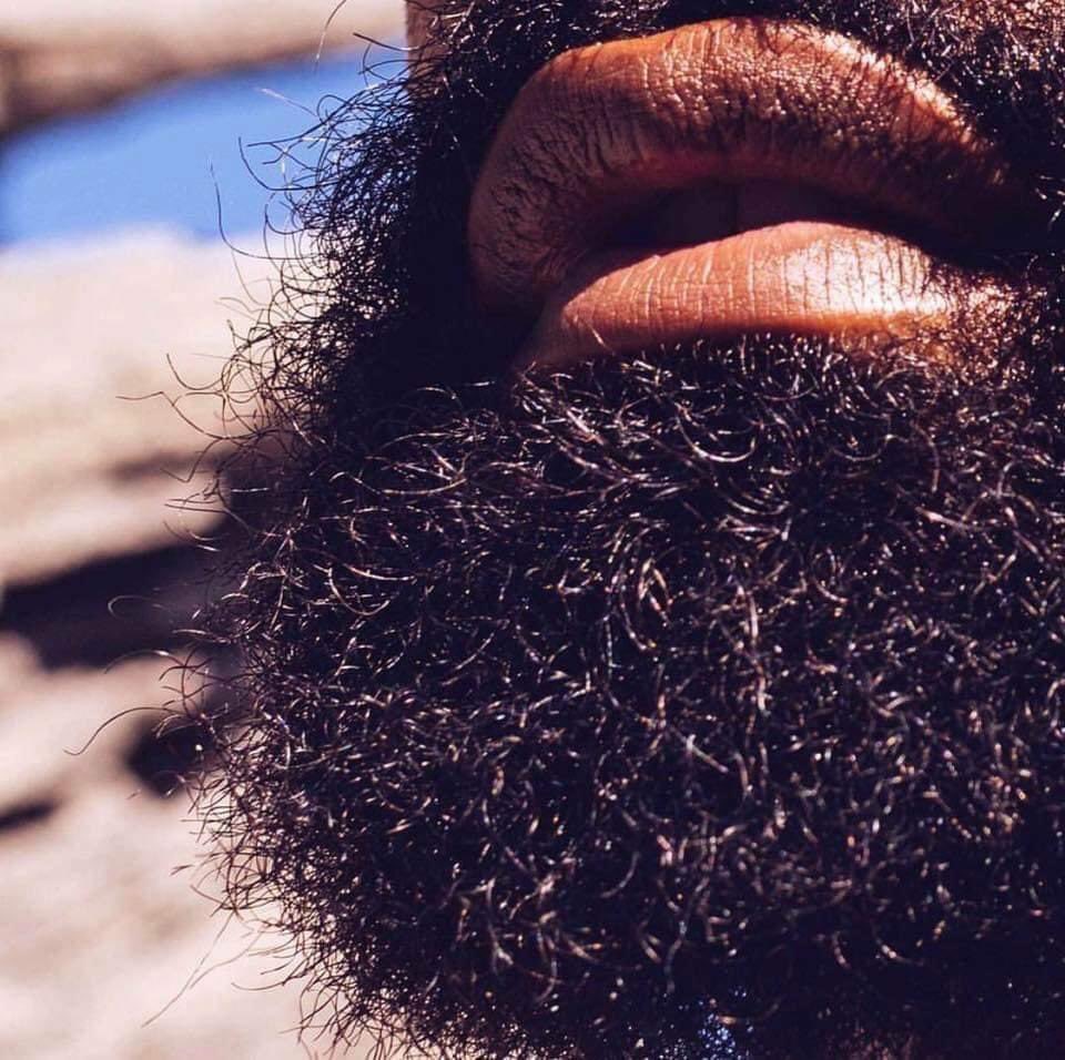 David 🦋 On Twitter Rt Faiththegemini Each Hair In A Nigga Beard Represents Each Lies He Has