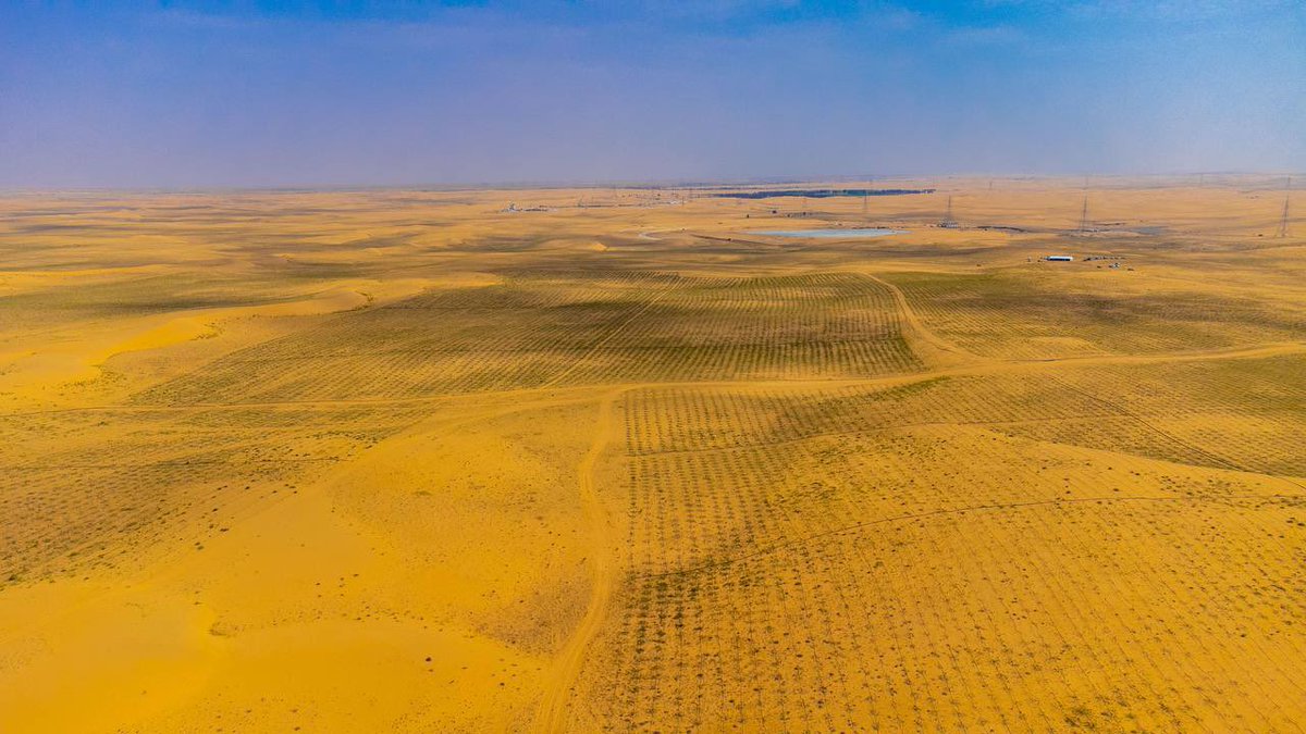 مشاريع بريدة On Twitter Rt Burydahprojects تضمنت المرحلة الأولى في مشروع التشجير باستخدام