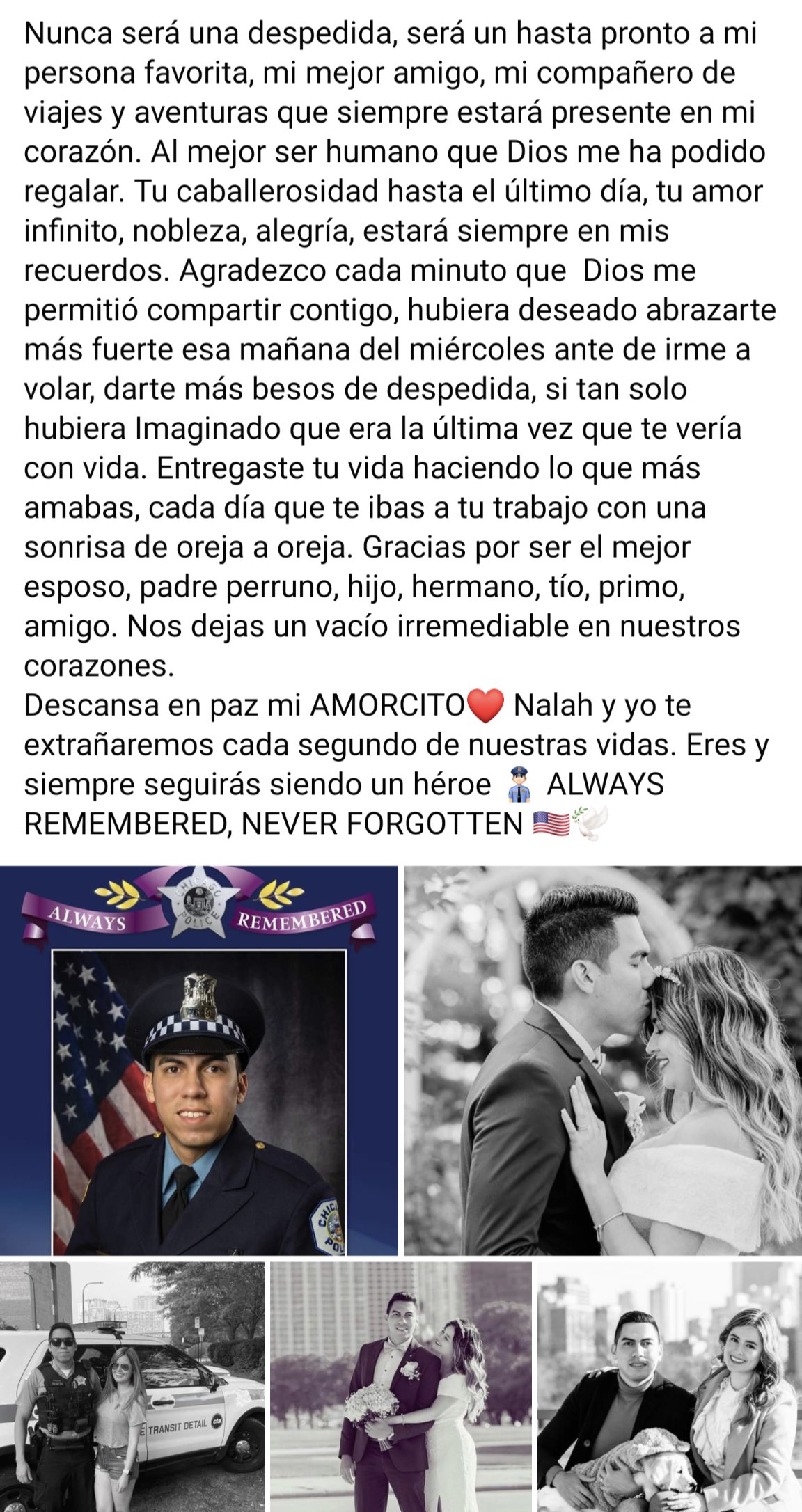 Immutable - $IMX (@IMX_Immutable) / Twitter