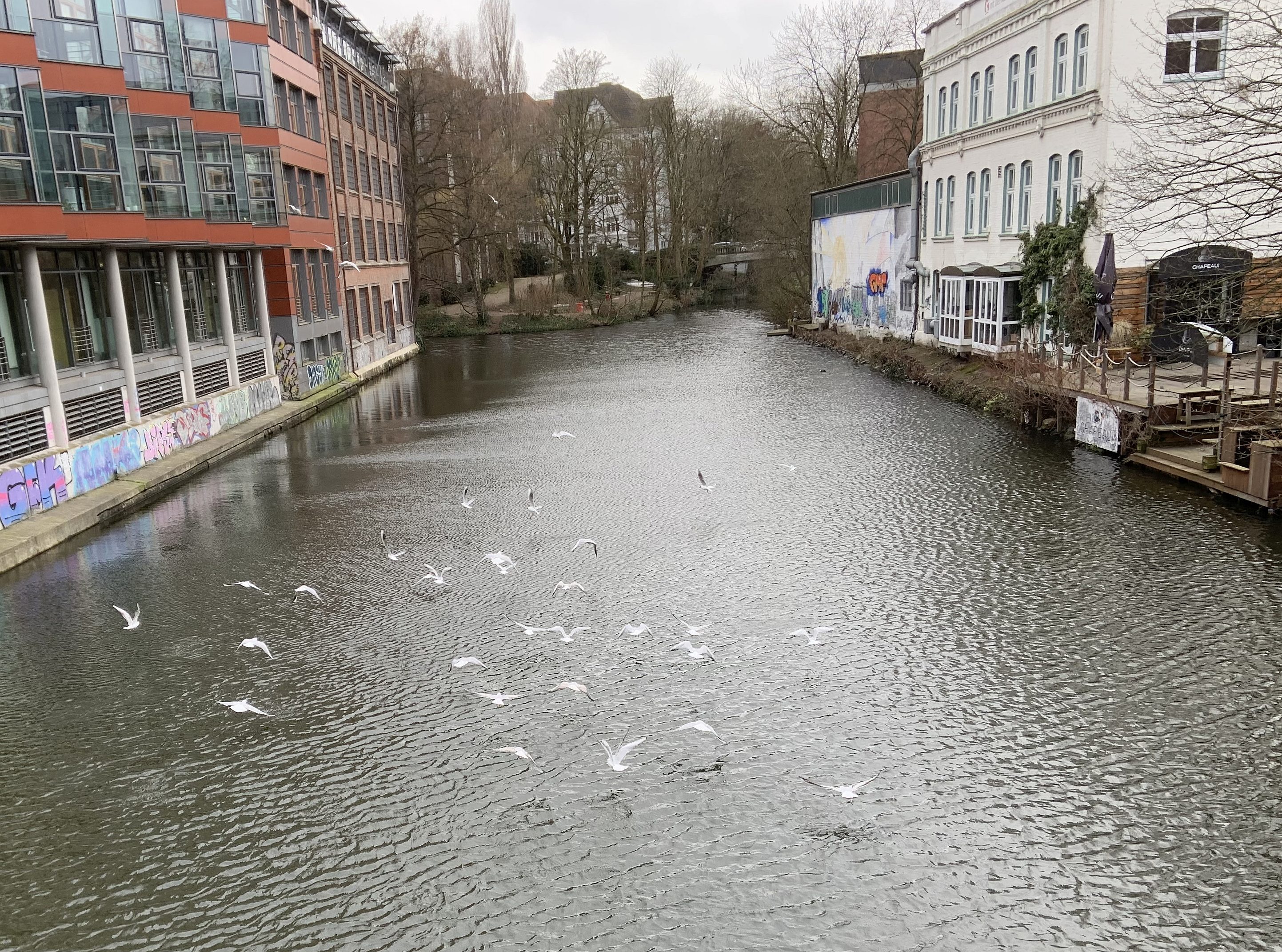 اسامه عفاش الحميري الحميري (@AsamhFash) / Twitter