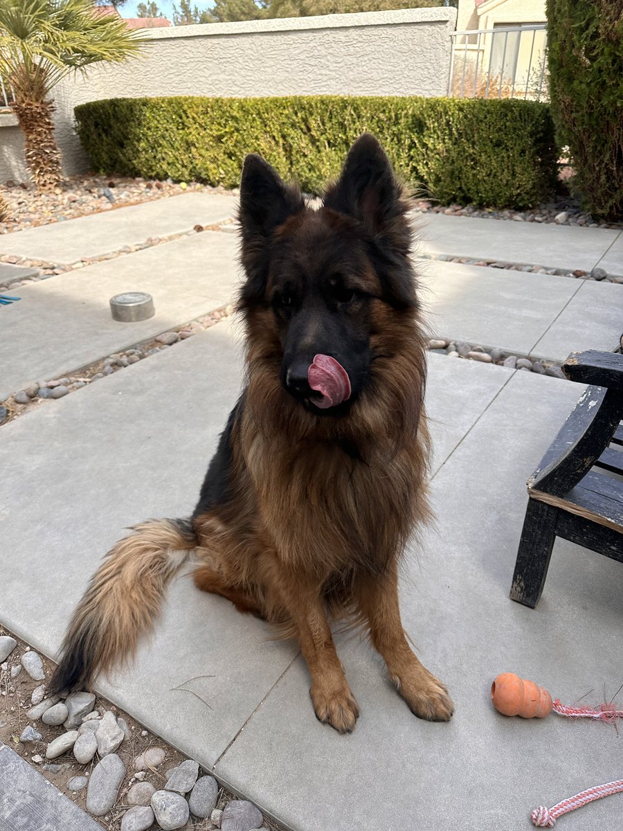 amber(@mimsy ):kiba update