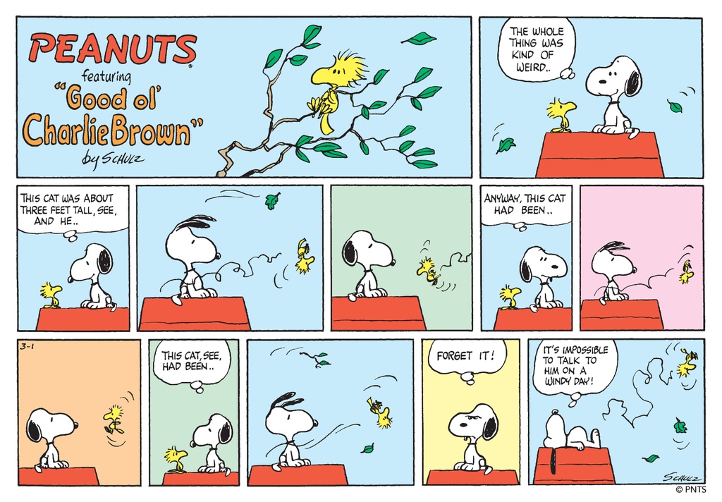 Charles M. Schulz Museum on Twitter: "🍃 This Peanuts Sunday comic strip ...