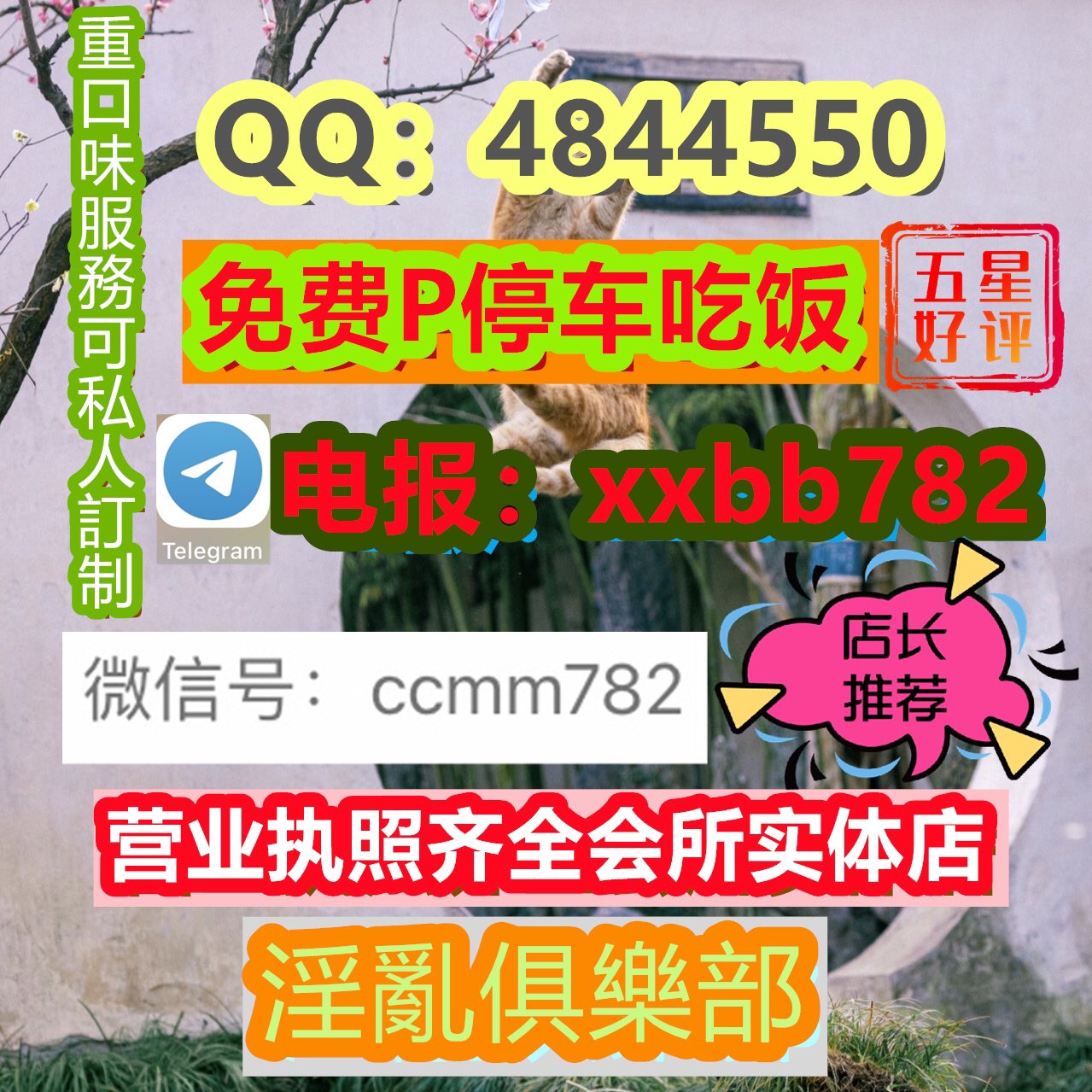 Karon Kano on Twitter: "Ruth Monroe Rita Butler #郑州按摩 #郑州 #郑州资源 Brady Irving https://t.co ...