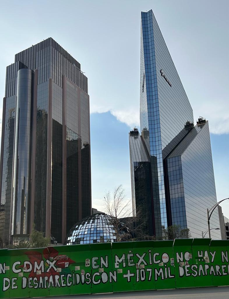 📷 Así luce el ahuehuete en Paseo de la Reforma, que será retirado para ...