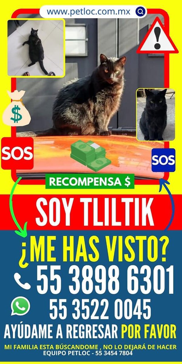 AnimalesCDMX on Twitter: AnimalesCDMX on Twitter: