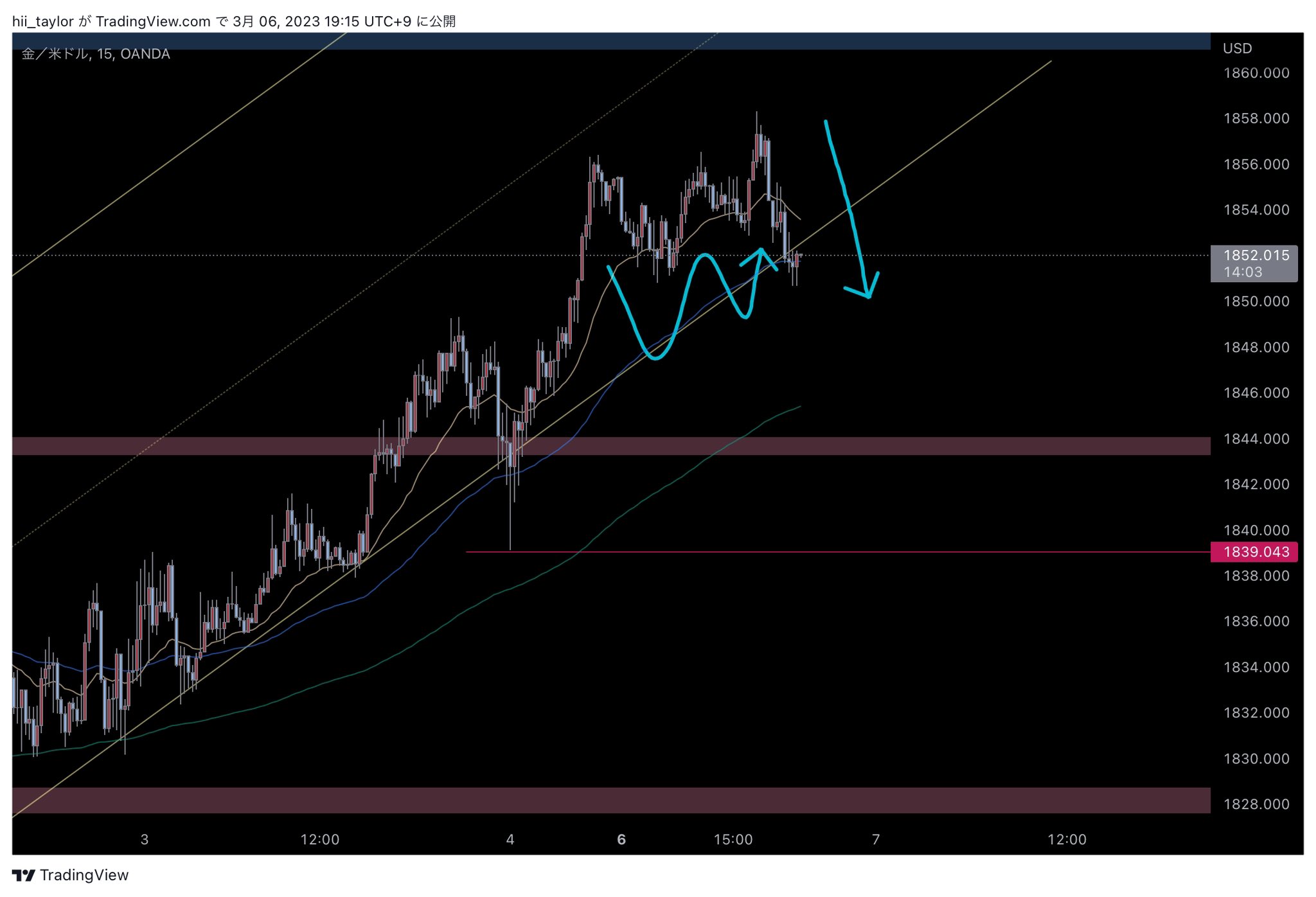 ホワイト (@white_fx_dxy) / Twitter