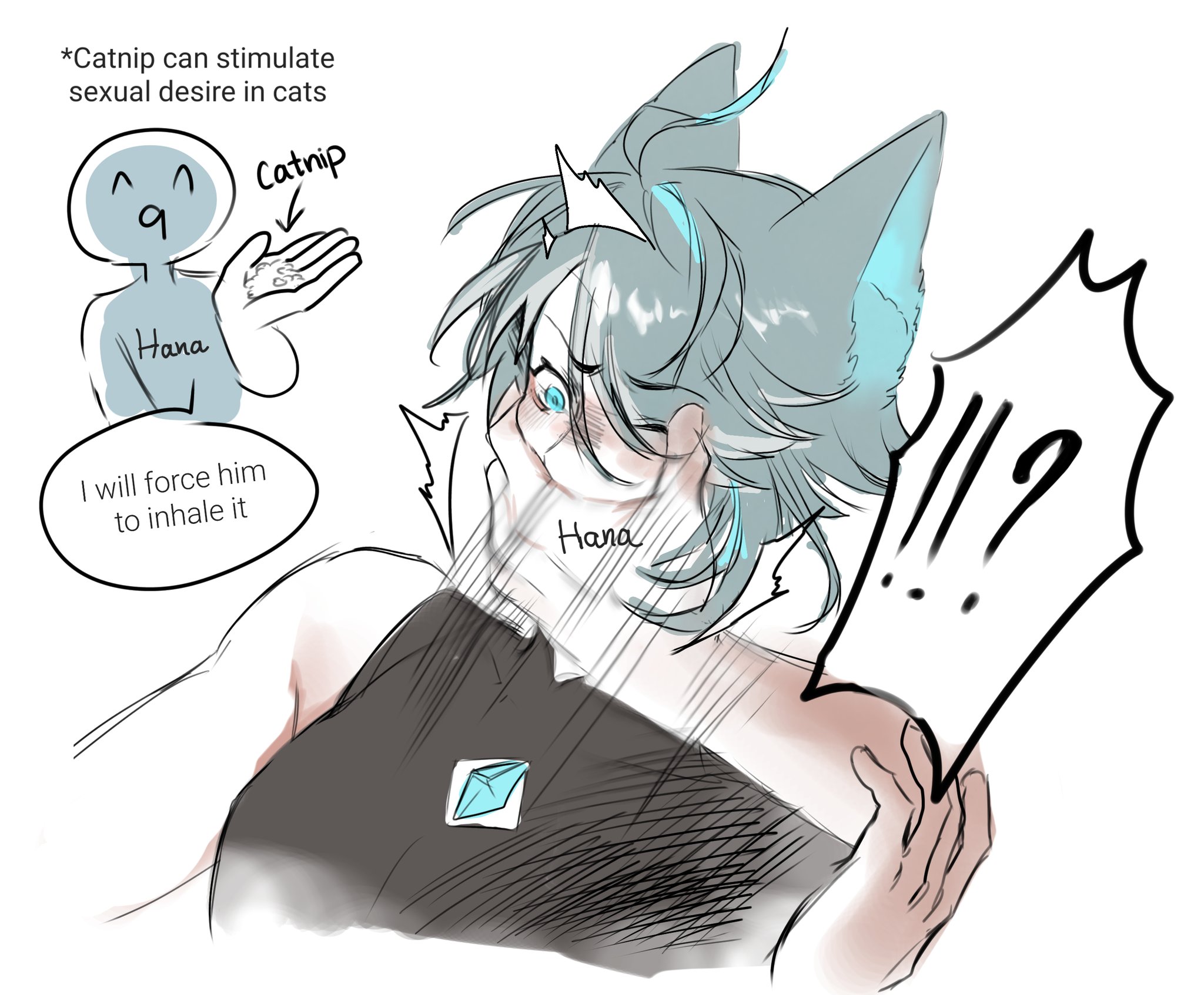 hanabi🌱 on Twitter: "Catnip 🐱🌱 #Alhaitham https://t.co/VyYZyG6F57" / Twitter