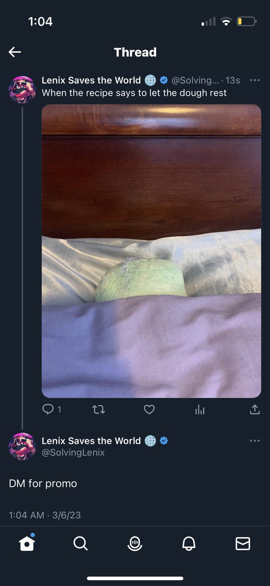 Lenix Saves the World 🌐 on Twitter: "Bro wasted no time asking for promo 😭😭😭"