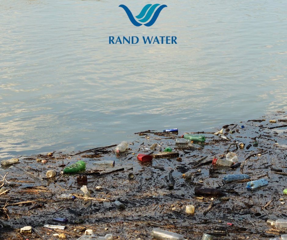 Animals Drinking Polluted Water