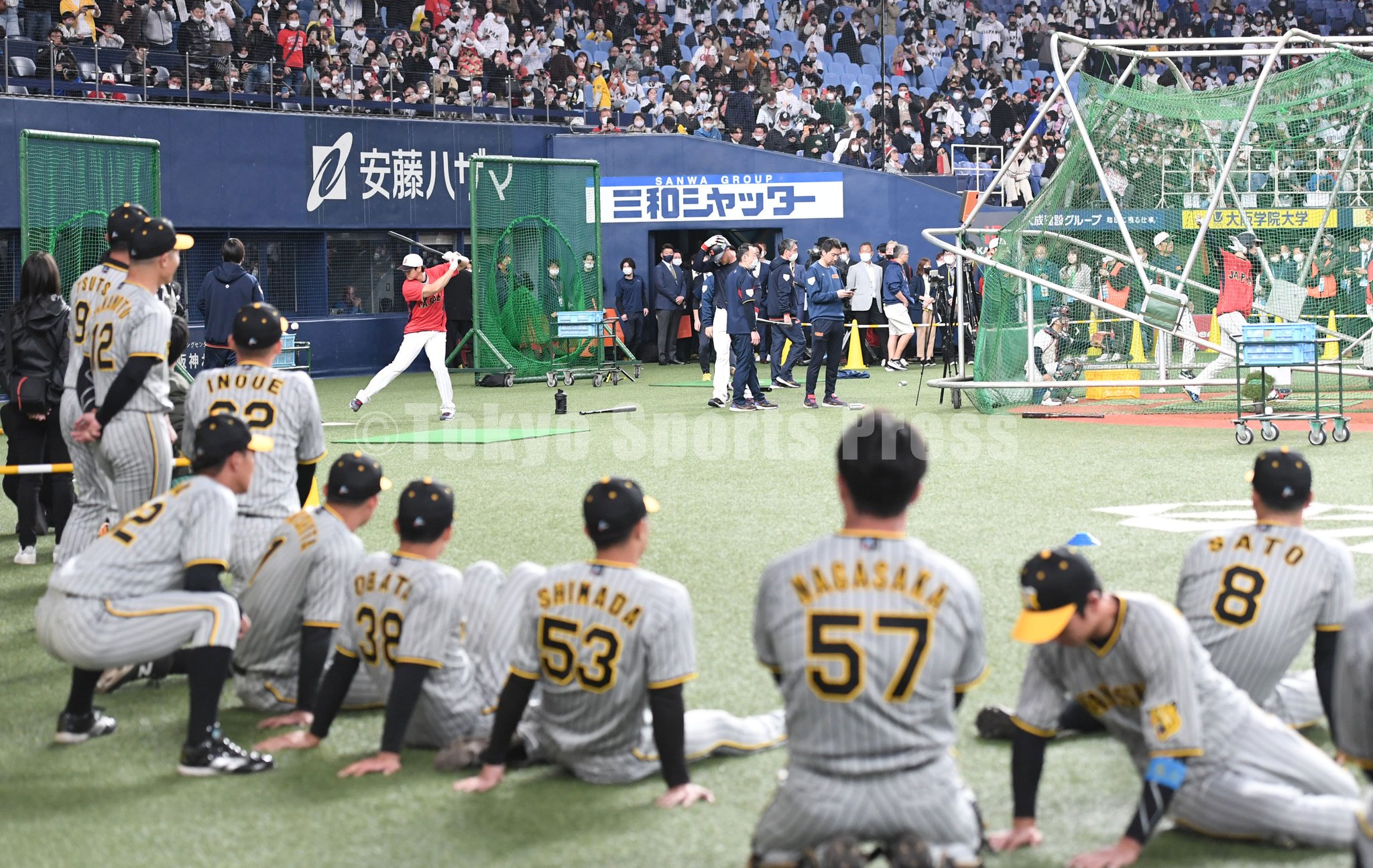 東スポ 写真部 on Twitter: "【WBC】 3月6日 WBC強化試合 日本×阪神タイガース #大谷翔平 の打撃練習を見る阪神の選手たち #侍ジャパン #侍japan #WBC2023 ...
