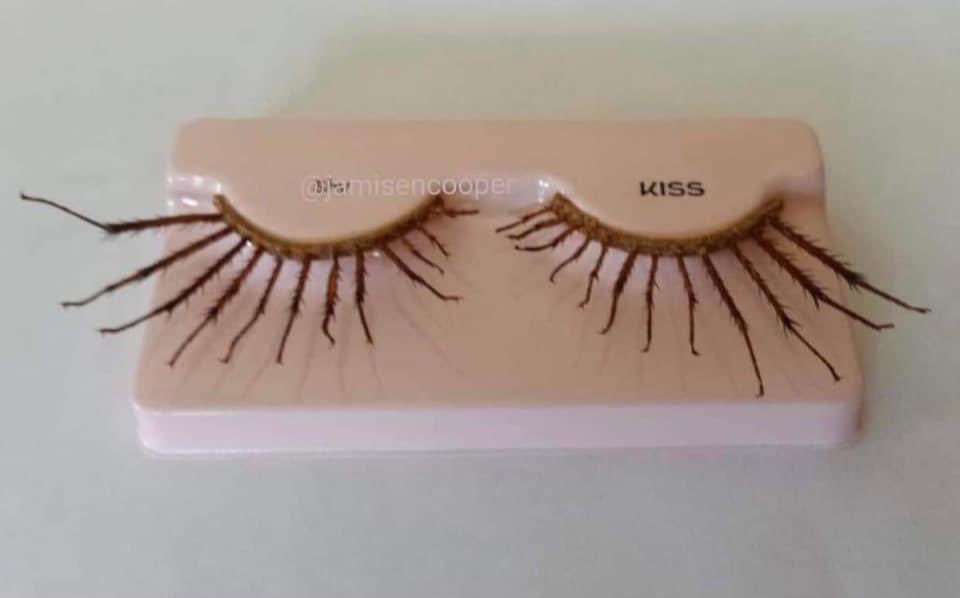 Spider Leg Eyelashes