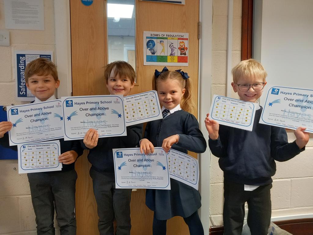 Hayes Primary School - Secure Area