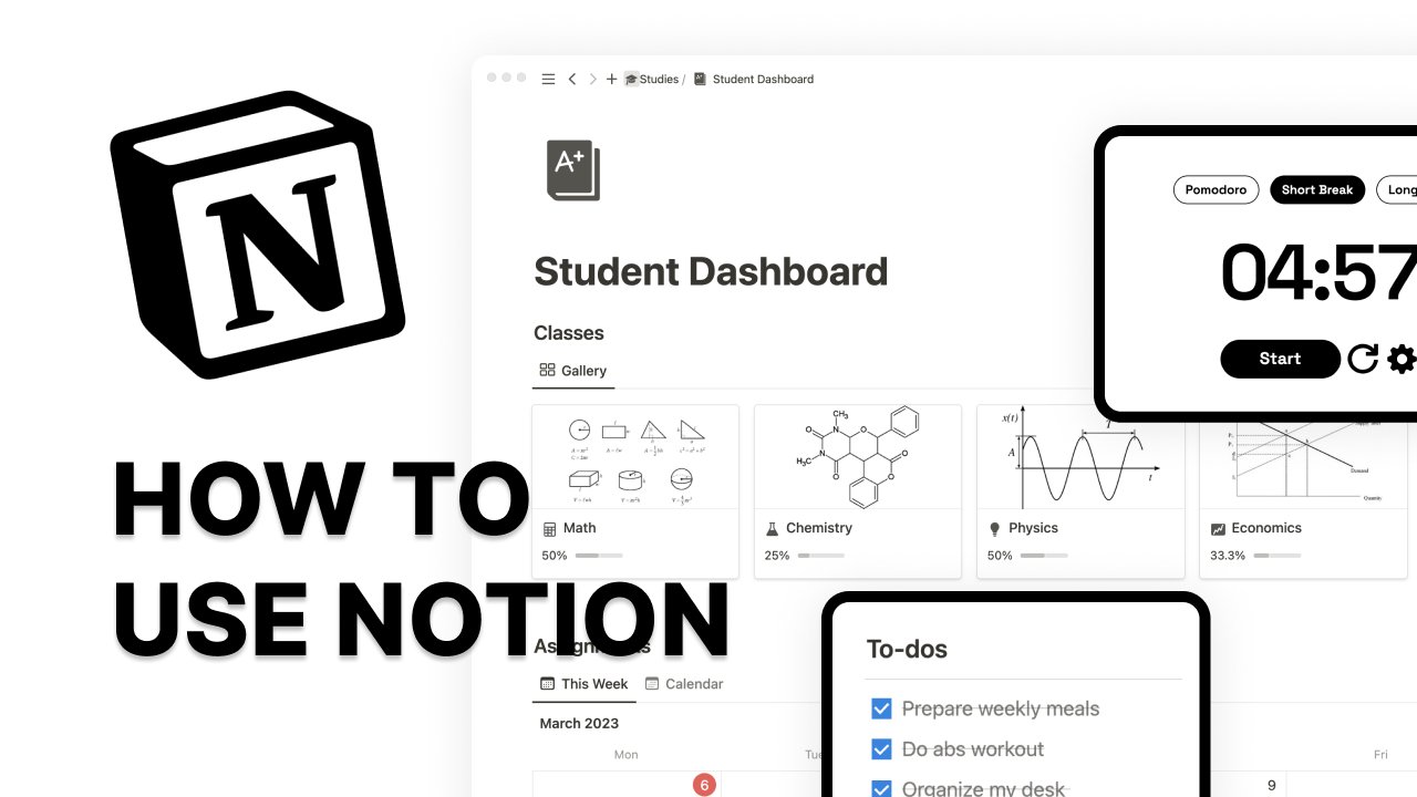 Easlo on Twitter: "I'll teach you how to use Notion for school tomorrow. https://t.co/UOdI0SeKph ...