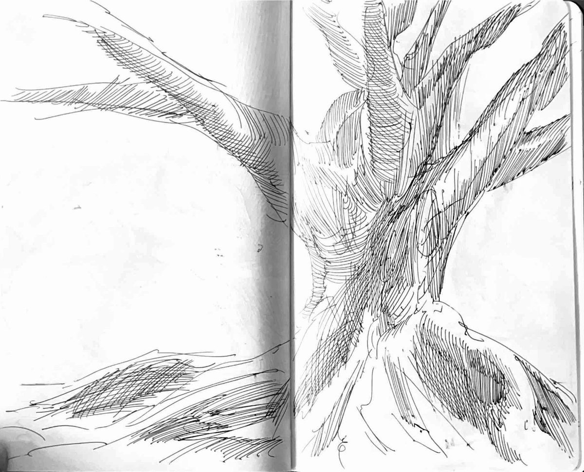 「Old Marcello drawing I still like 」Zi Xuの漫画