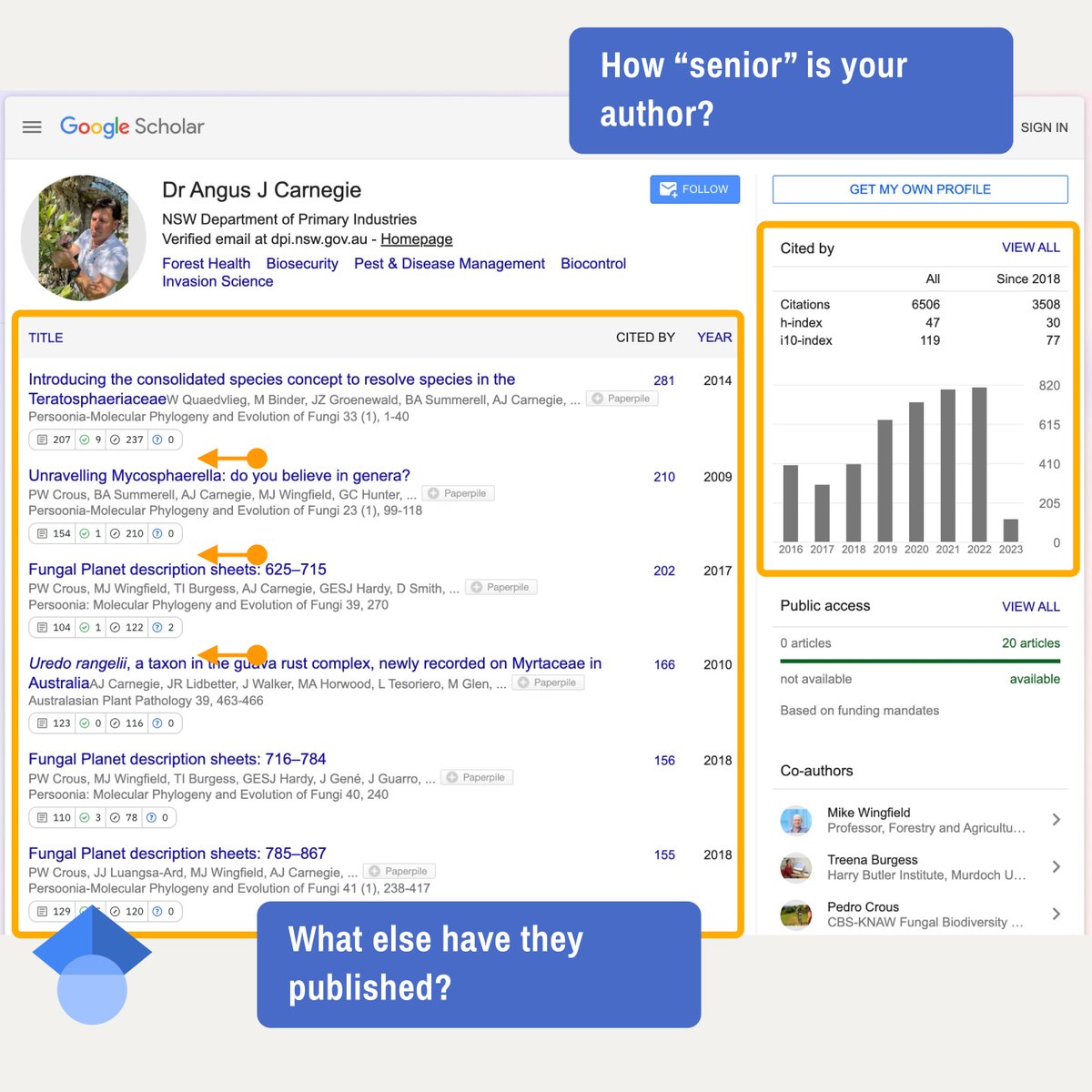 Your literature review is not just a hunt for PDFs. Become an expert by finding important ...