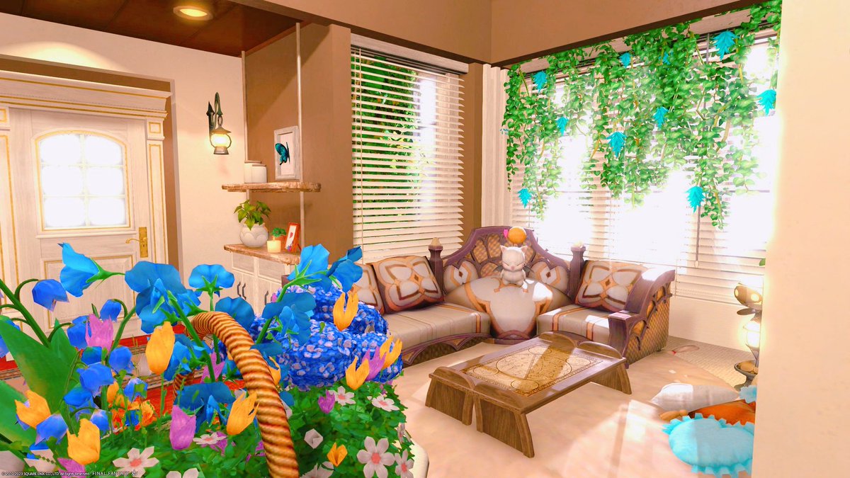 petit mer | StudioXIV