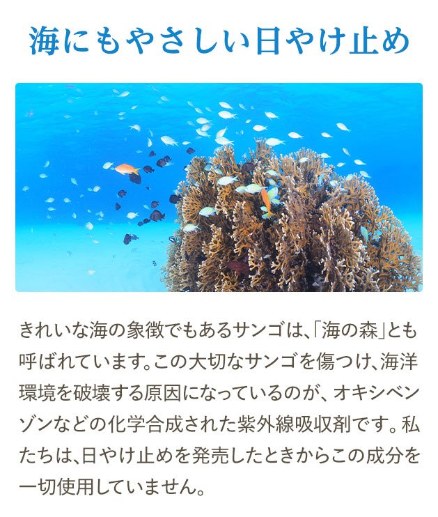 長澤みすづ On Twitter Rt Yamadabee3838 / 🐝 フォローandrtキャンペーン開催中 38は年に一度の『みつばちの日』🐝♪ 植物から生まれた
