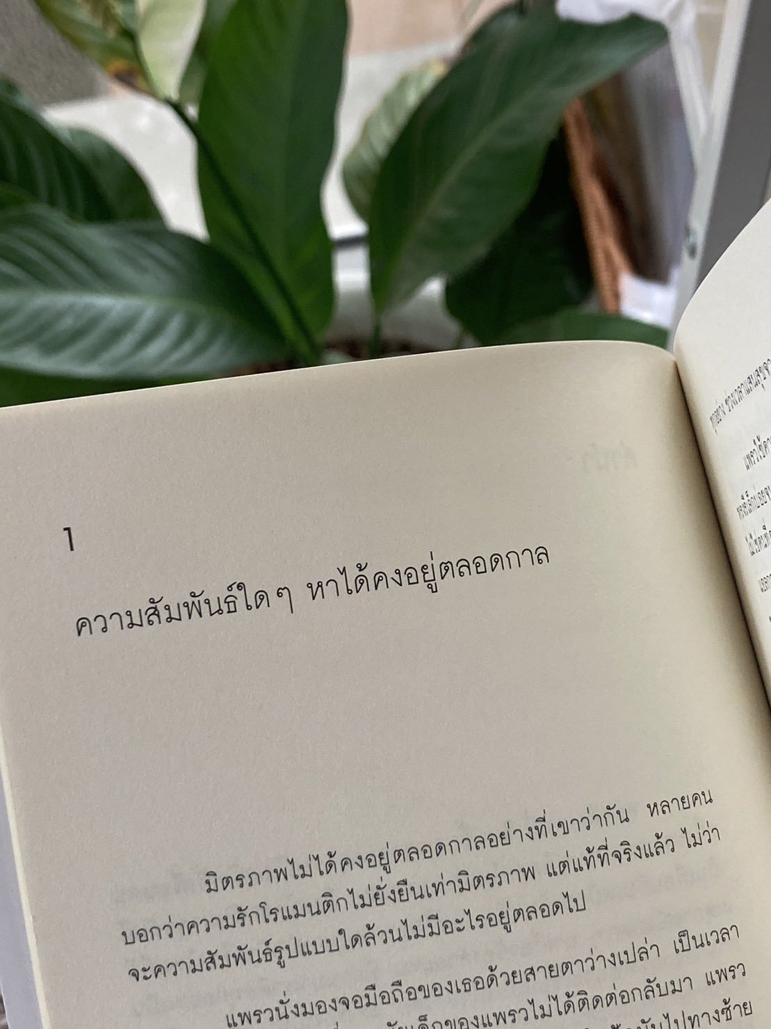 ร้านกลิ่นหนังสือ On Twitter ตลอดกาลคือคำลวงหรือผลพวงจากความคาดหวัง