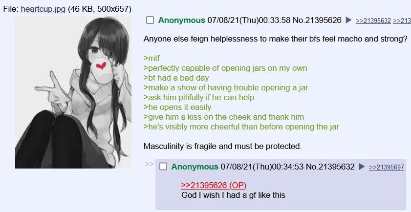 OtomeSocialist on Twitter: "RT @4chan_green: Anonette cheers her boyfriend up"