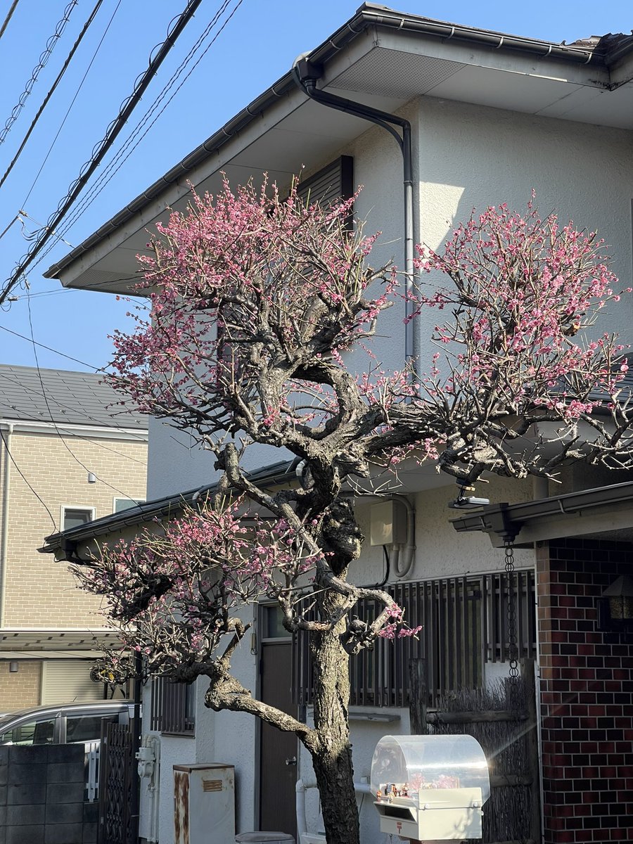 うり坊(@uribou) - Twilog