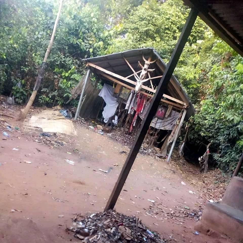 Standard Observers's Threads – Thread Reader App