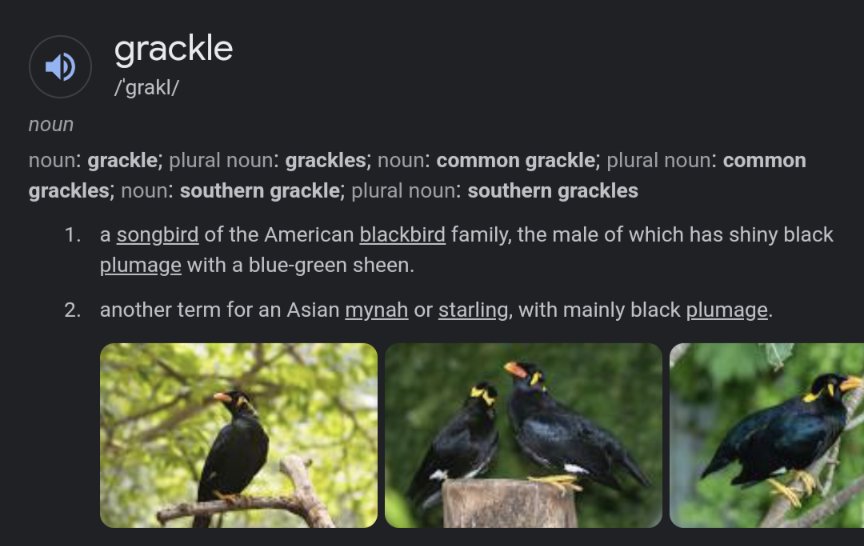 Valia On Twitter FYI You Can t grackle Someone Grackle Is A Noun valia-on-twitter-fyi-you-can-t-grackle-someone-grackle-is-a-noun