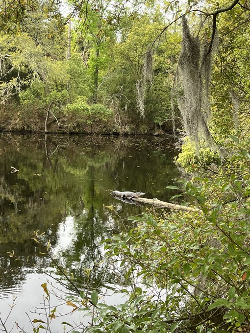 TW Pornstars - Isabella Del Rio. Pictures and videos from Twitter.