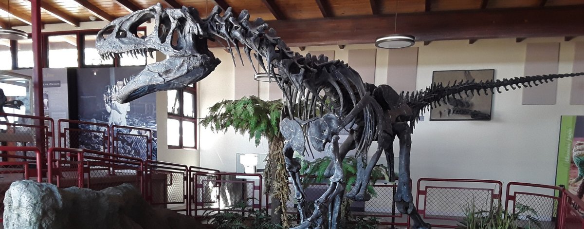 Utah.gov on Twitter: "Cleveland-Lloyd Dinosaur Quarry (CLDQ) at ...