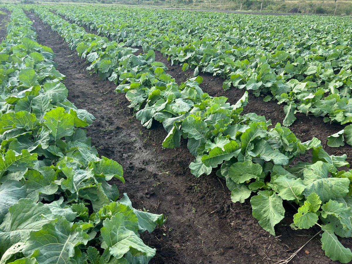 WHY ORGANIC FARMING? 1. Environmental sustainability: Organic farming ...