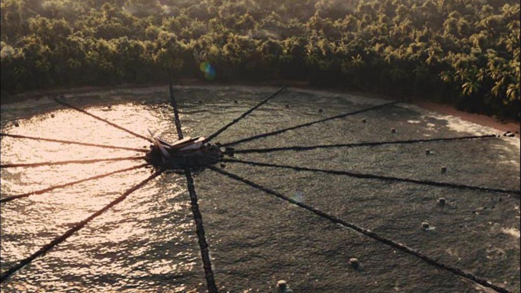 Catching Fire Arena Pictures