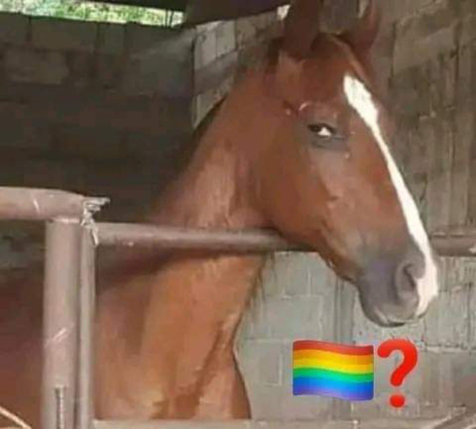 HELL FAIRY on Twitter: "@StrangerNews11 Mike y Will agarrados de la mano ksja https://t.co ...