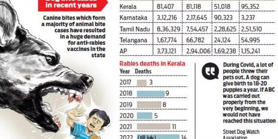 தெருநாய்களின் வெறி ஆட்டம் #thilli_info இந்தியாவில் நாய்க்கடி சம்பவங்கள் ...