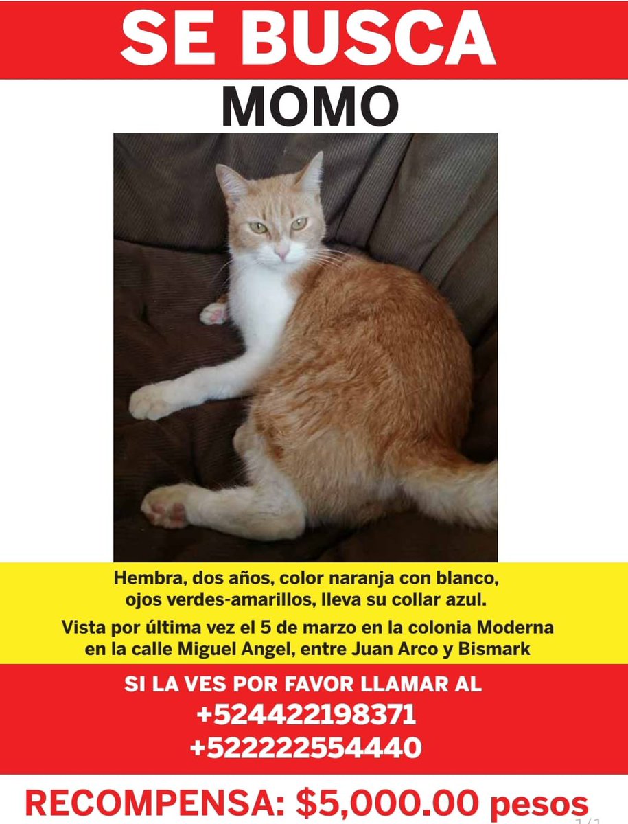 AnimalesCDMX on Twitter: AnimalesCDMX on Twitter: