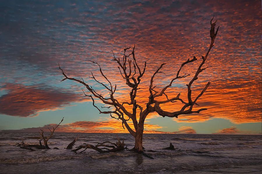 Art for the walls ! https://t.co/o0JMu2T8kh #photograph #artistry # ...