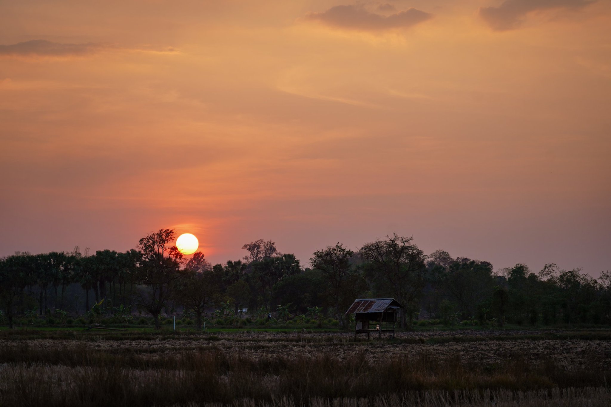 SUNNTX on Twitter: "@yoxrgravity https://t.co/jfyzsldijp" / Twitter