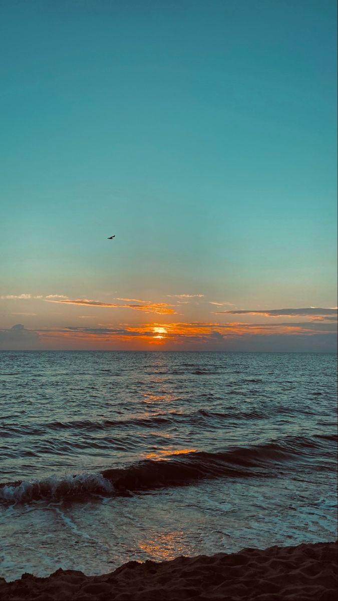 Pictures on Twitter: "Ocean sunset 🌅"