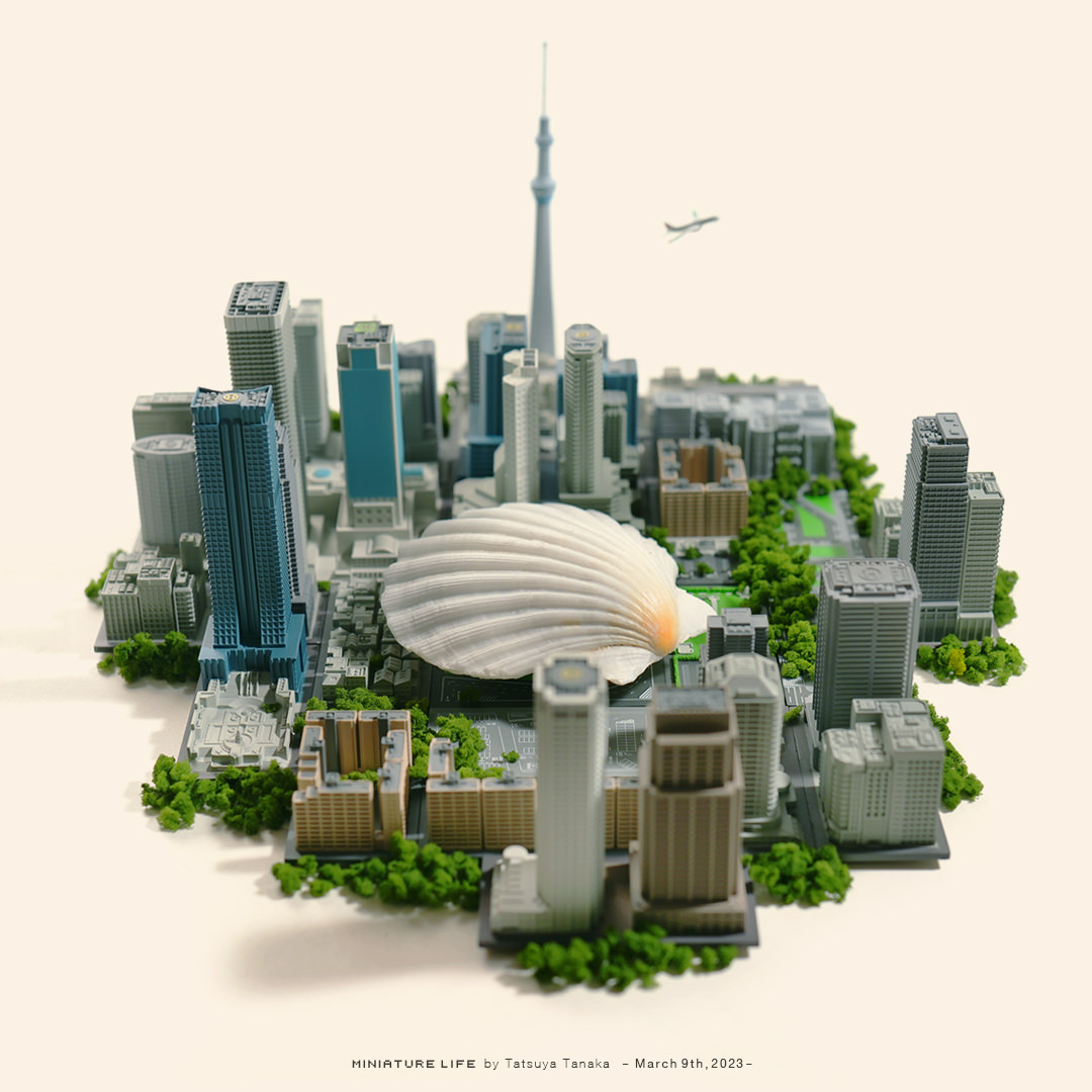 Tatsuya Tanaka 田中達也 on Twitter: "ホタテ貝1枚分の東京ドーム https://t.co/dqHCaDypIz" / Twitter