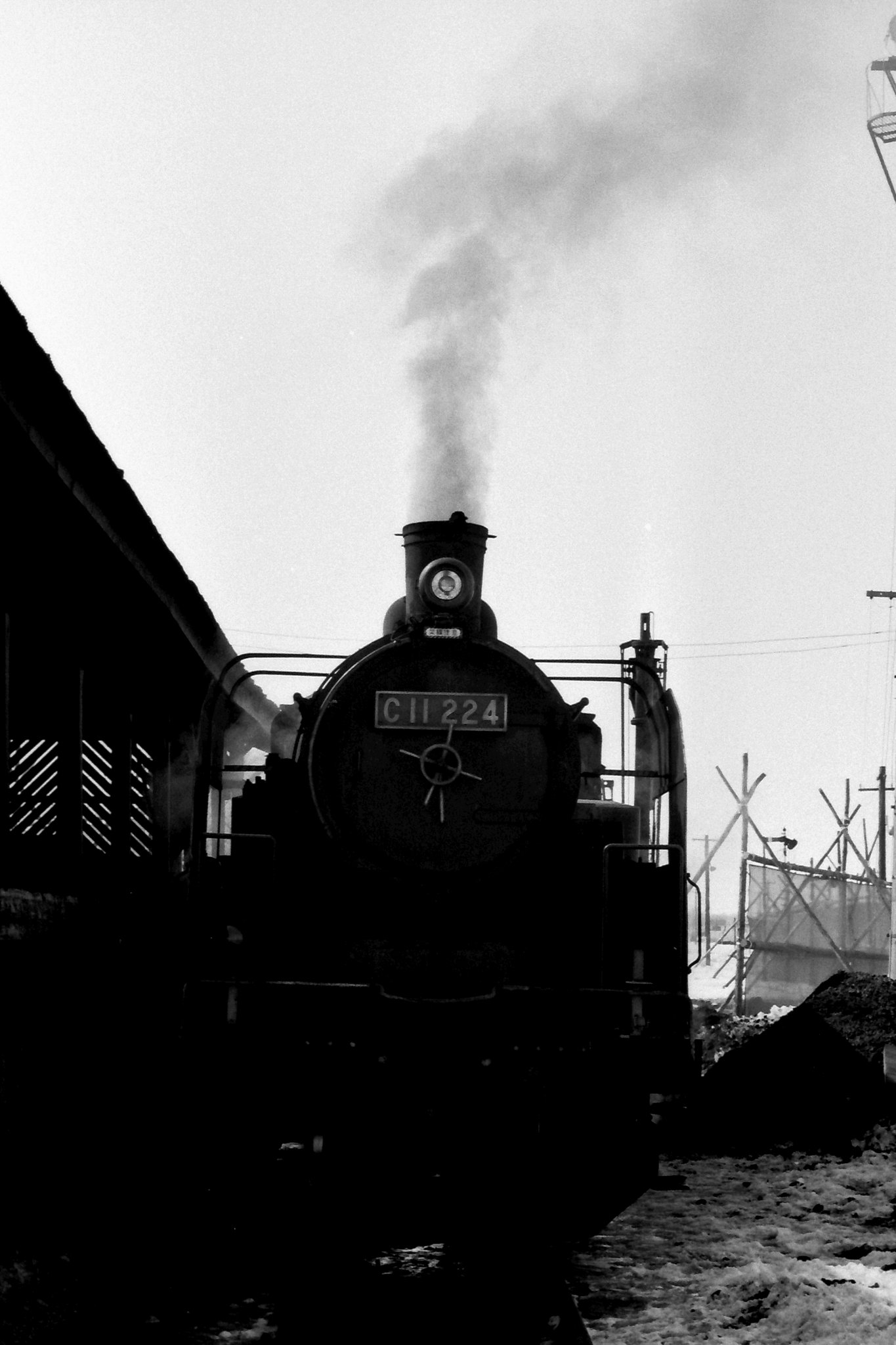 D511007 on Twitter: "再会C11224‼ 着ちゃった!!根室標津。厚床。奥行臼。保存に携われている方々、ありがとうございました。厚床駅構内、厚床〜奥行臼（たぶん） #標津線 ...